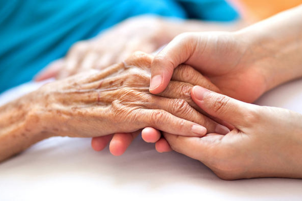 What is a Palliative Care Pathway? How does it work? | Care For Family